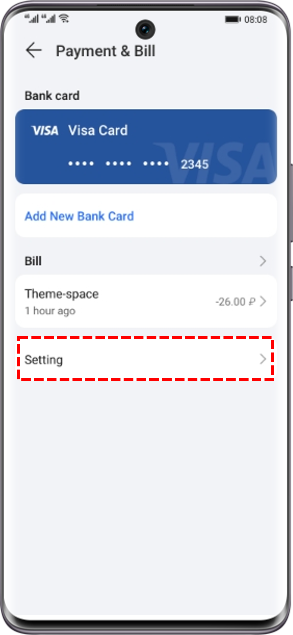 How do I set and modify my payment password?