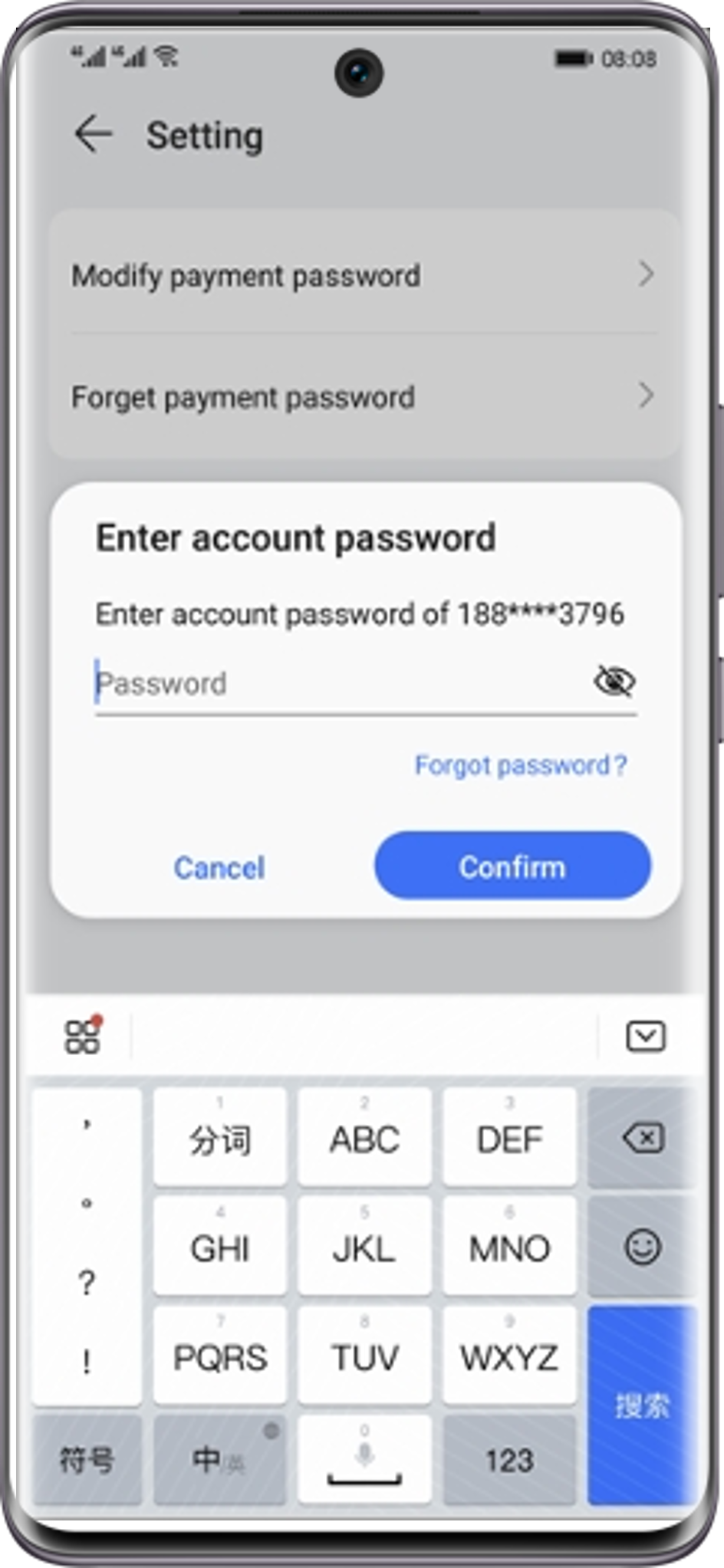 How do I set and modify my payment password?