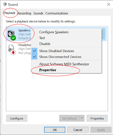 No sound is played from the computer speaker