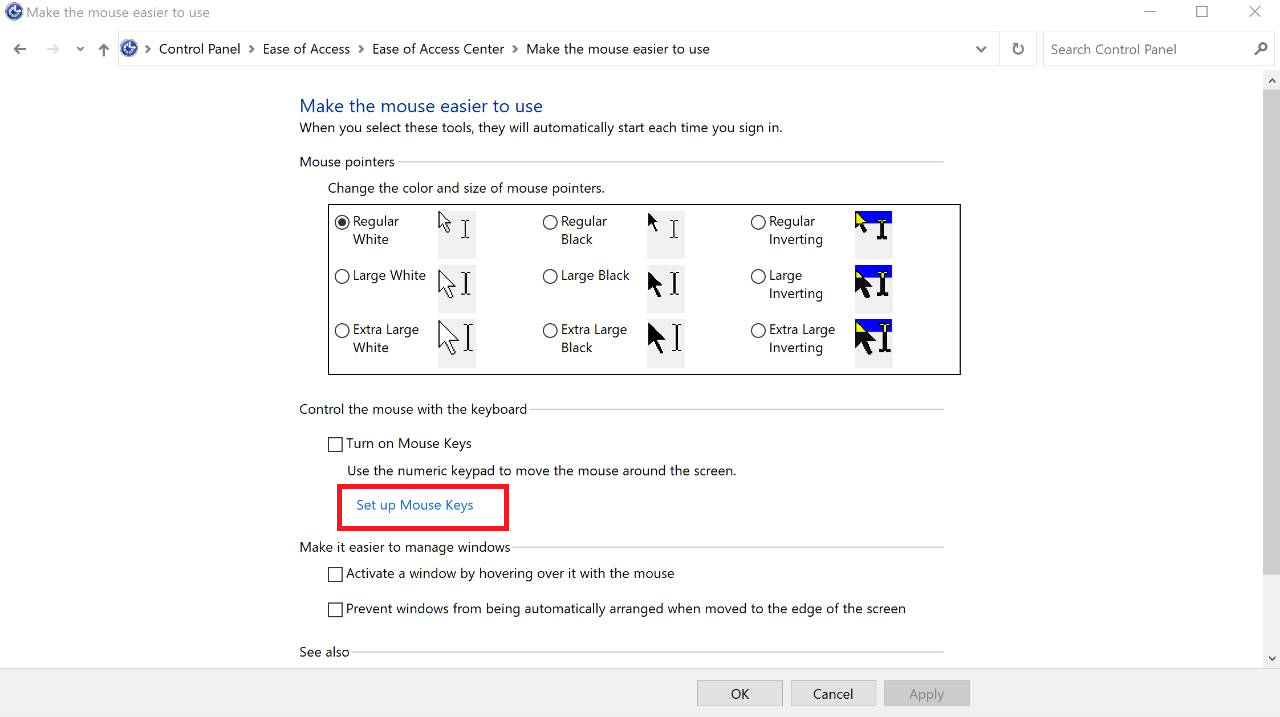 The user finds it difficult to control the computer's mouse