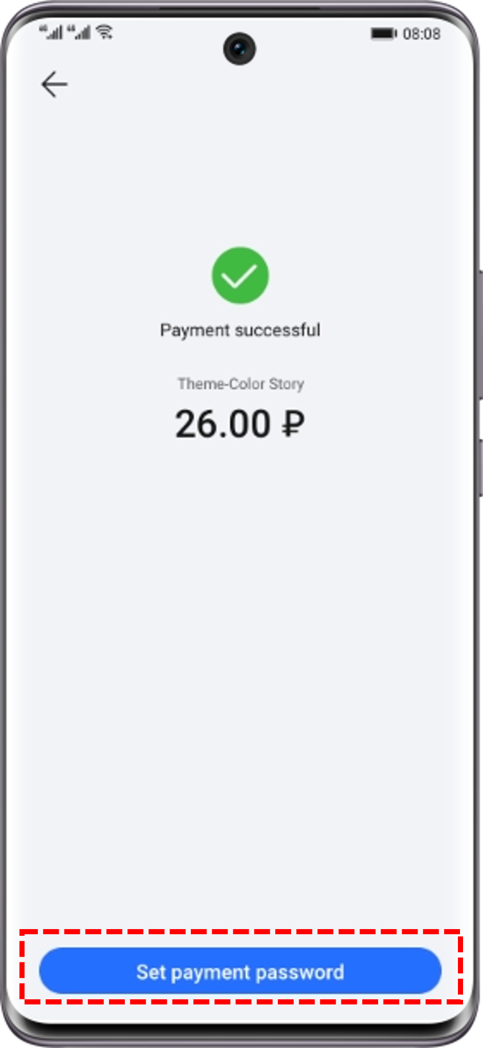 How do I set and modify my payment password?